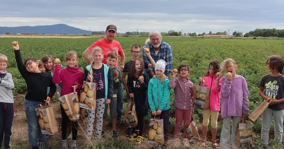 Sommerferienaktionen für Hahn und Eschollbrücken/Eich | Stadt Pfungstadt